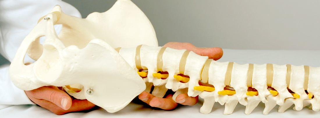 Como ayuda la Osteopatía al “Síndrome de médula anclada” - CIO | Ángel ...